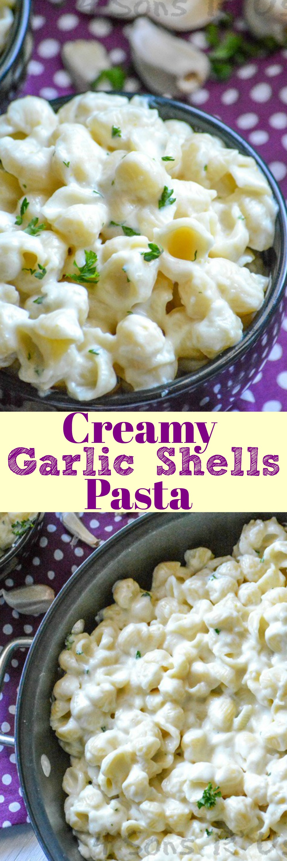 Creamy Garlic Shells Pasta - 4 Sons 'R' Us