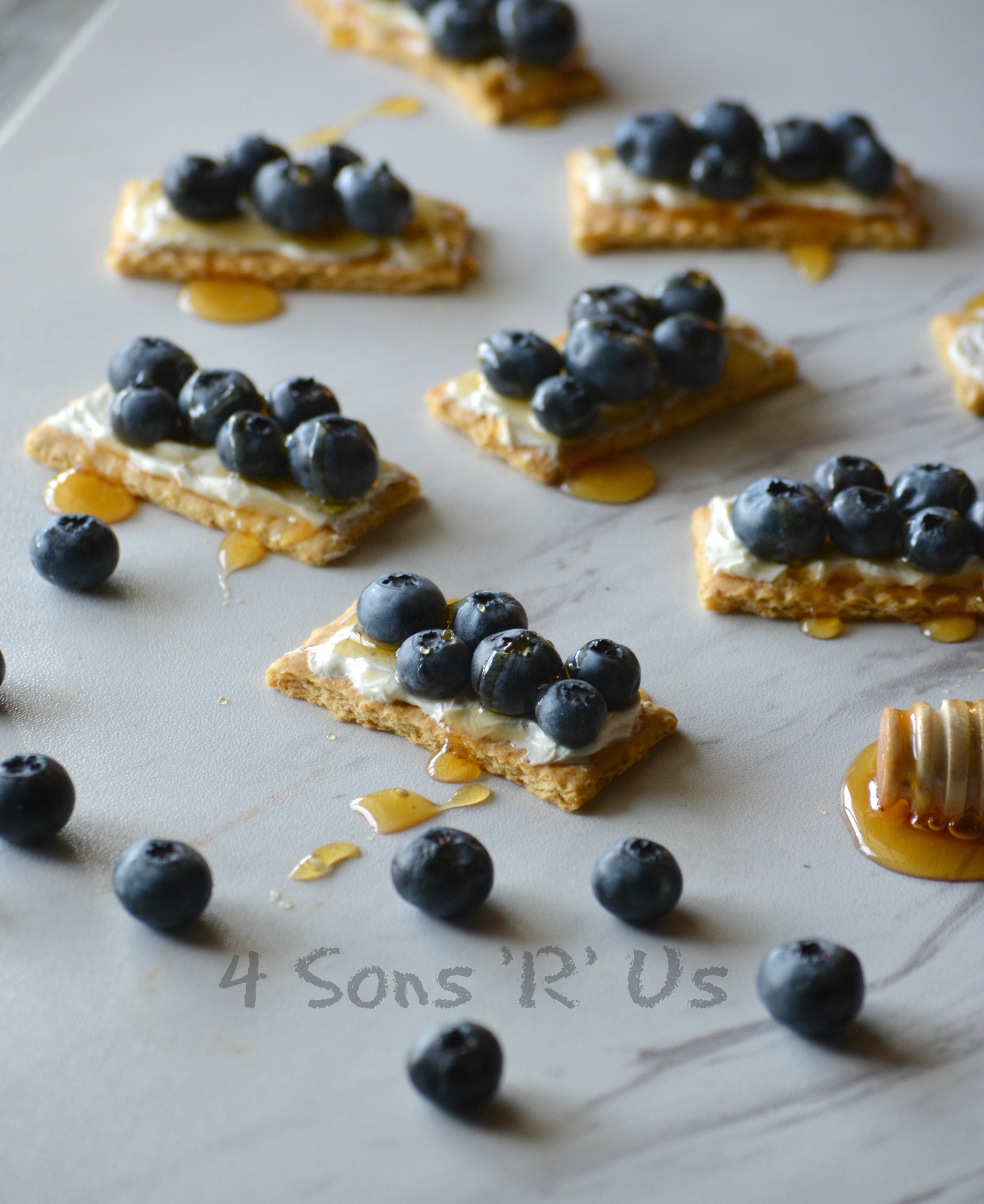 Blueberry Cheesecake Snack Bites - 4 Sons 'R' Us