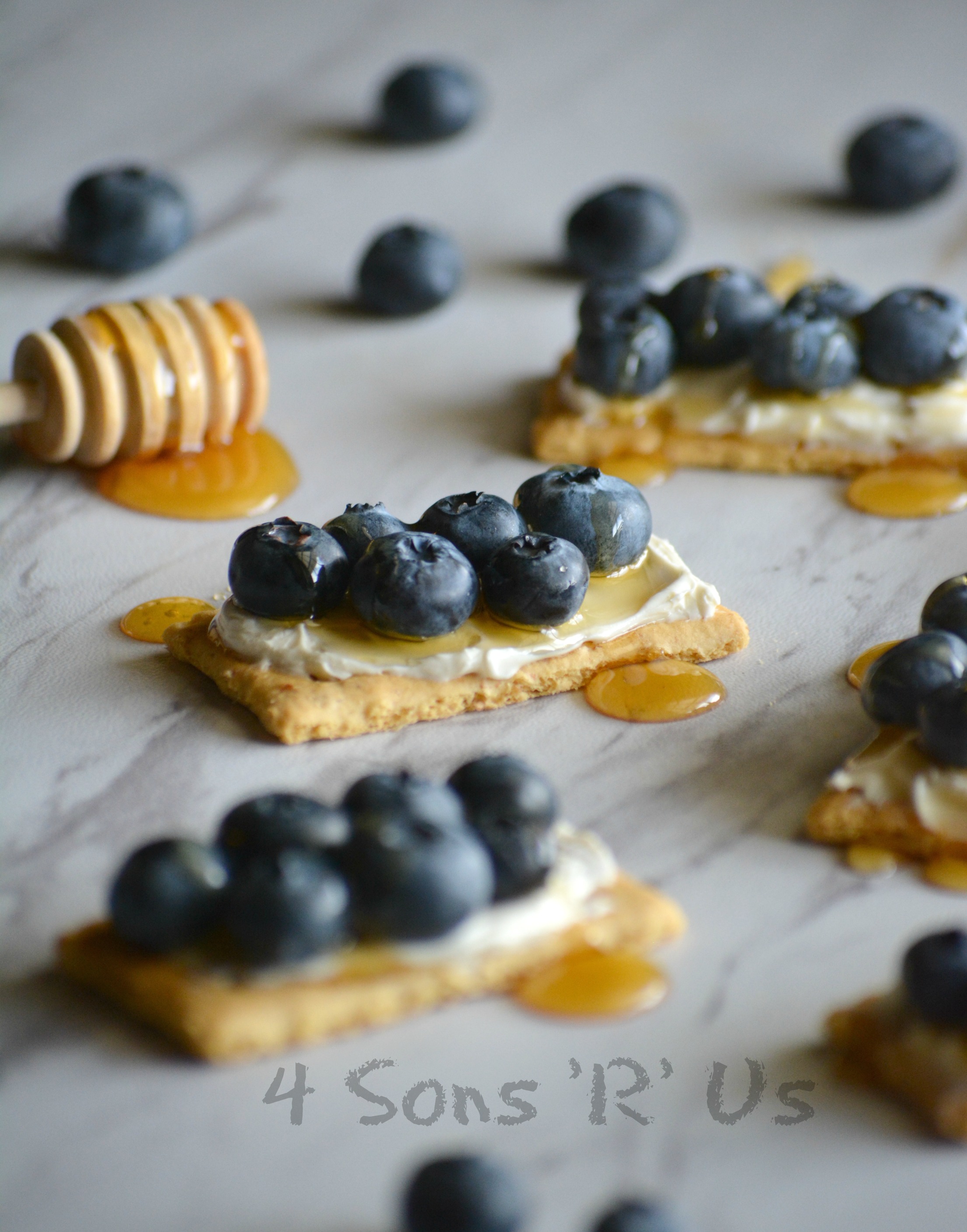 Blueberry Cheesecake Snack Bites - 4 Sons 'R' Us