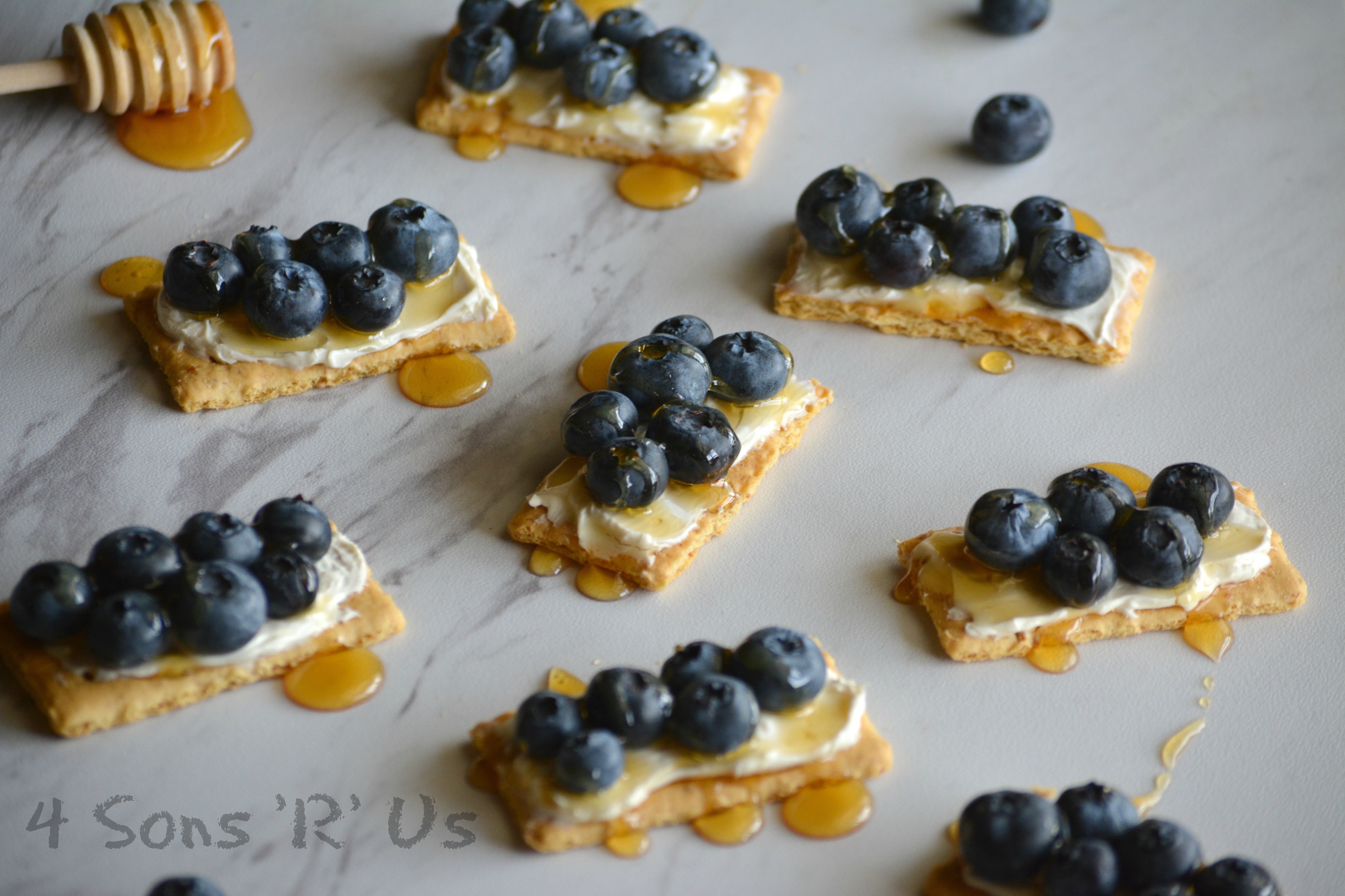 Blueberry Cheesecake Snack Bites - 4 Sons 'R' Us