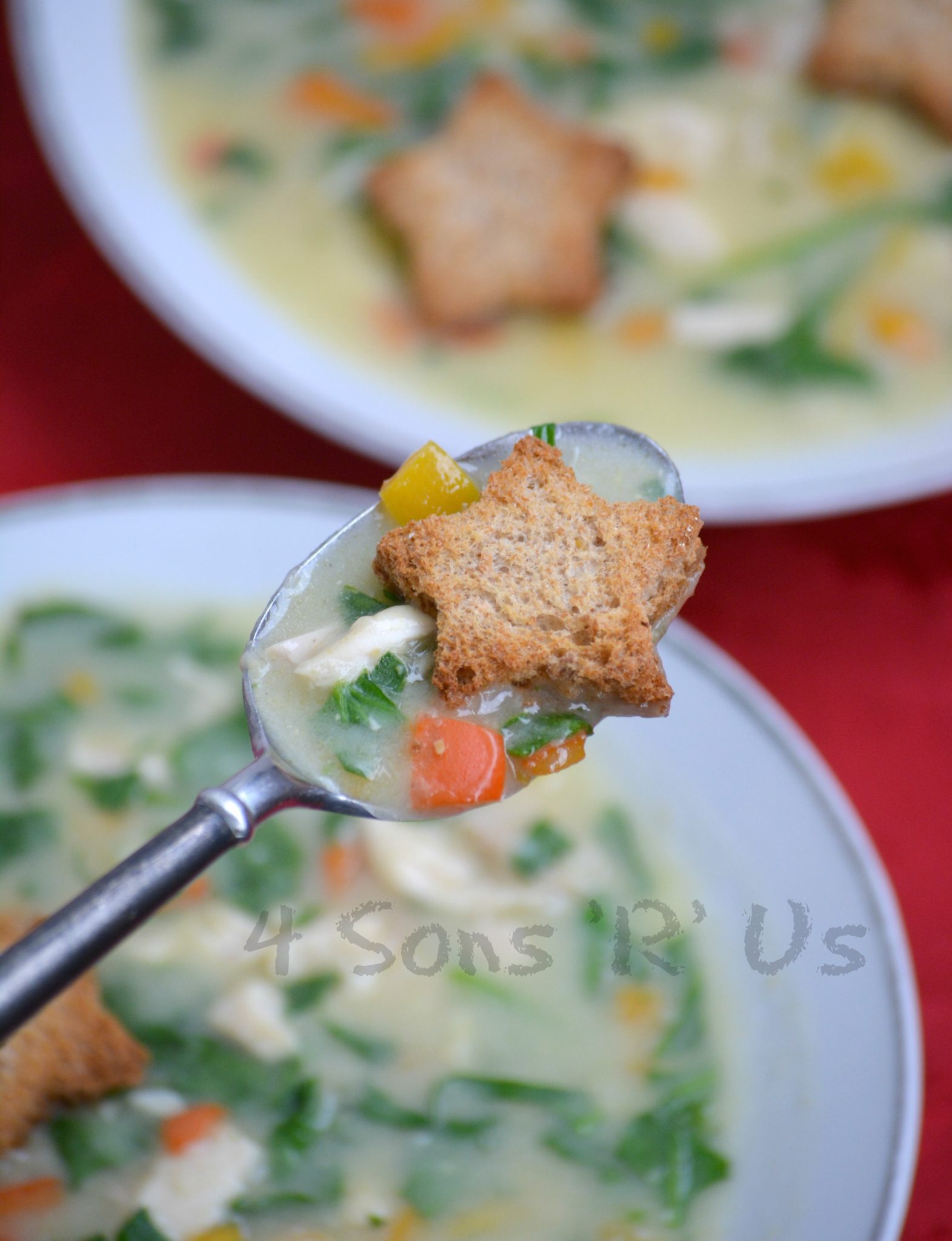 Christmas Confetti Chicken Soup - 4 Sons 'R' Us