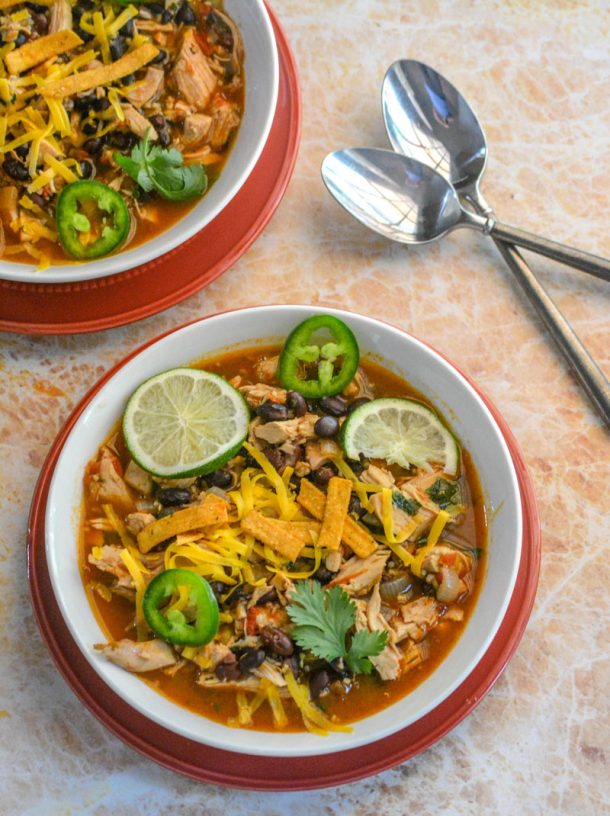 Healthy Chicken & Black Bean Tex Mex Soup - 4 Sons 'R' Us