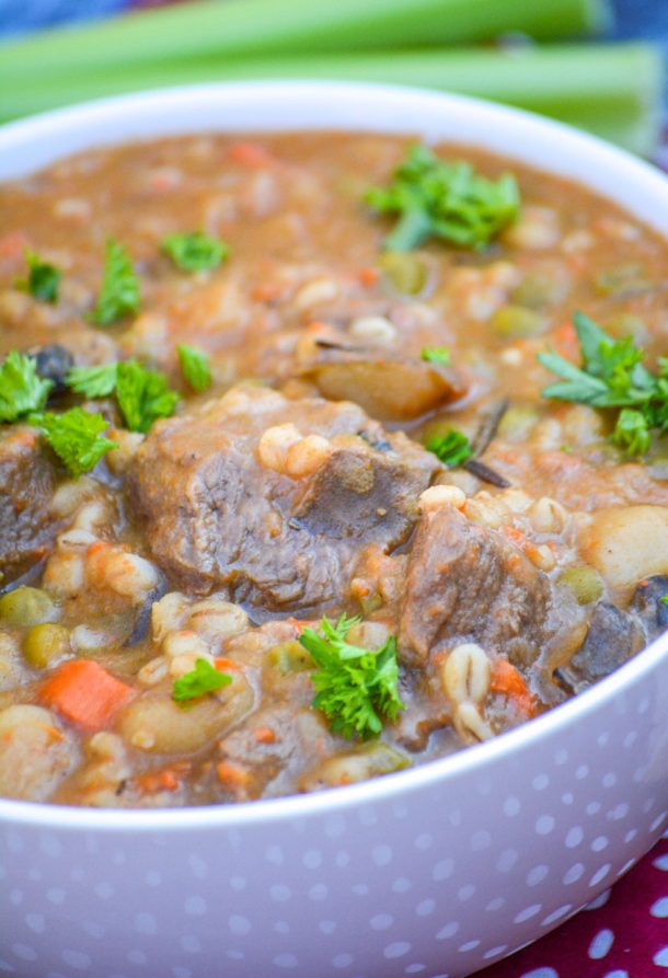 Beef & Barley Stew - 4 Sons 'R' Us