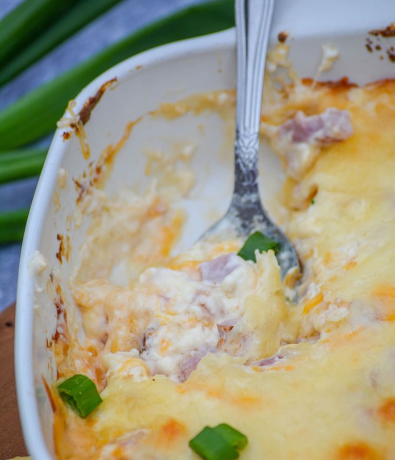 Hot Ham And Swiss Dip - 4 Sons 'R' Us