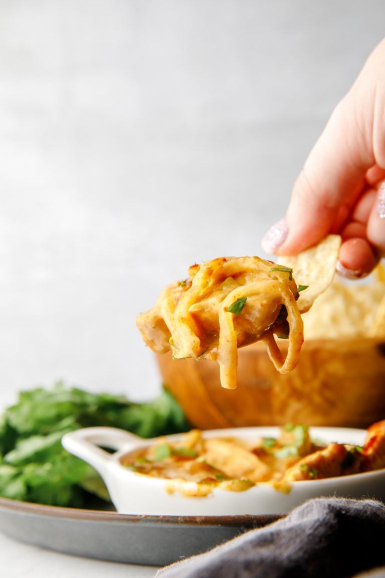 Pollo Fundido Recipe - 4 Sons 'R' Us