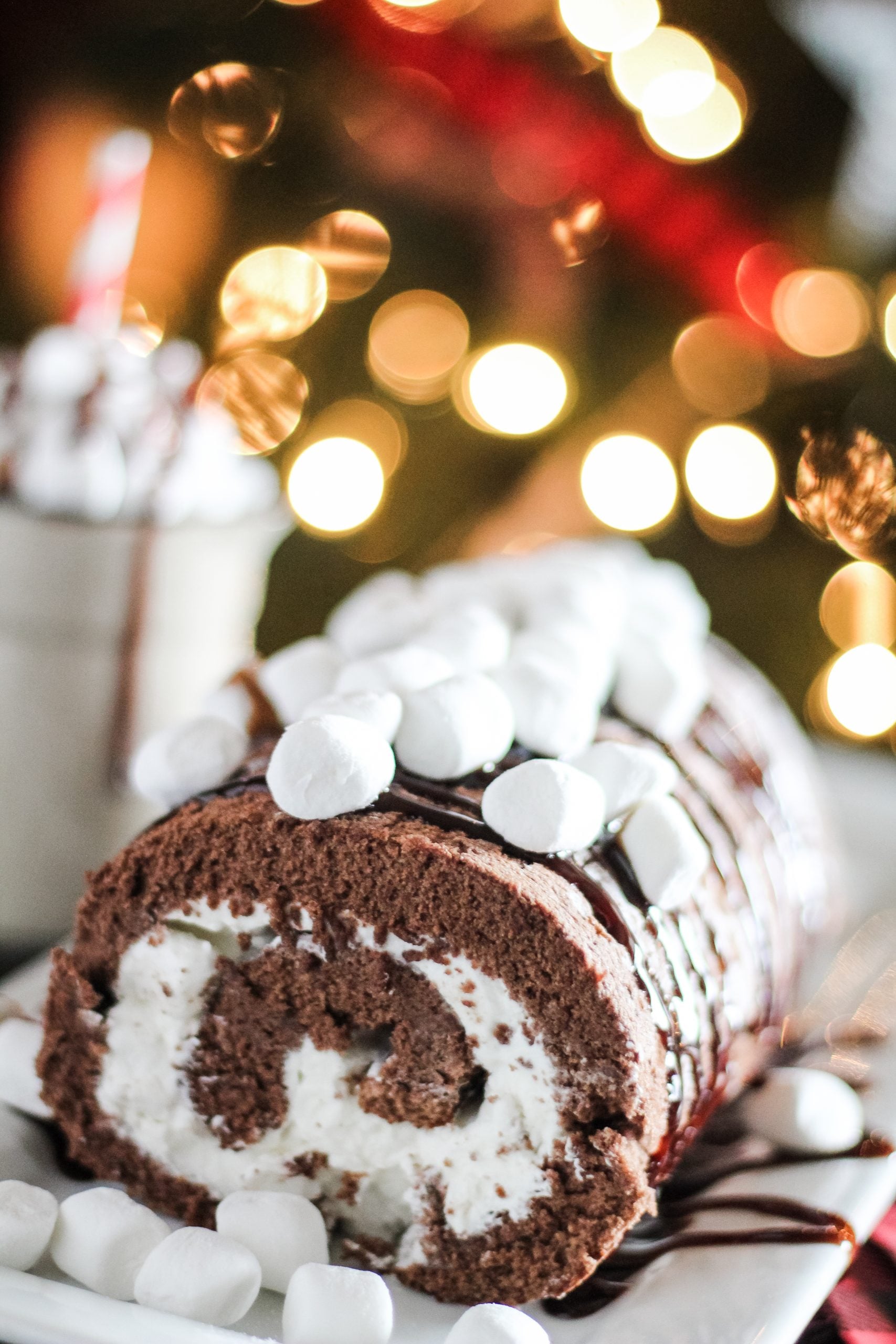 Hot Chocolate Cake Roll - 4 Sons 'R' Us