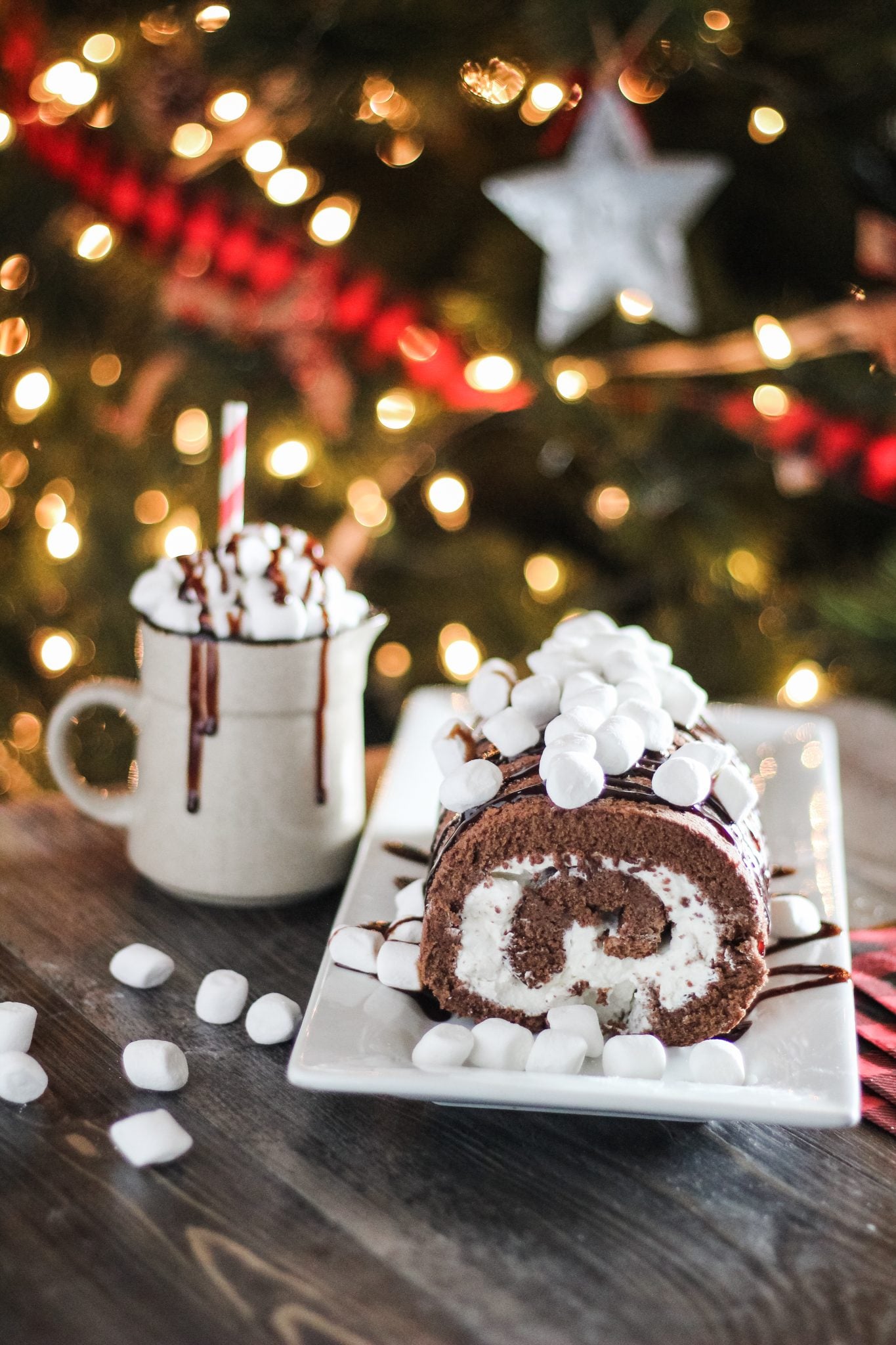 Hot Chocolate Cake Roll - 4 Sons 'R' Us