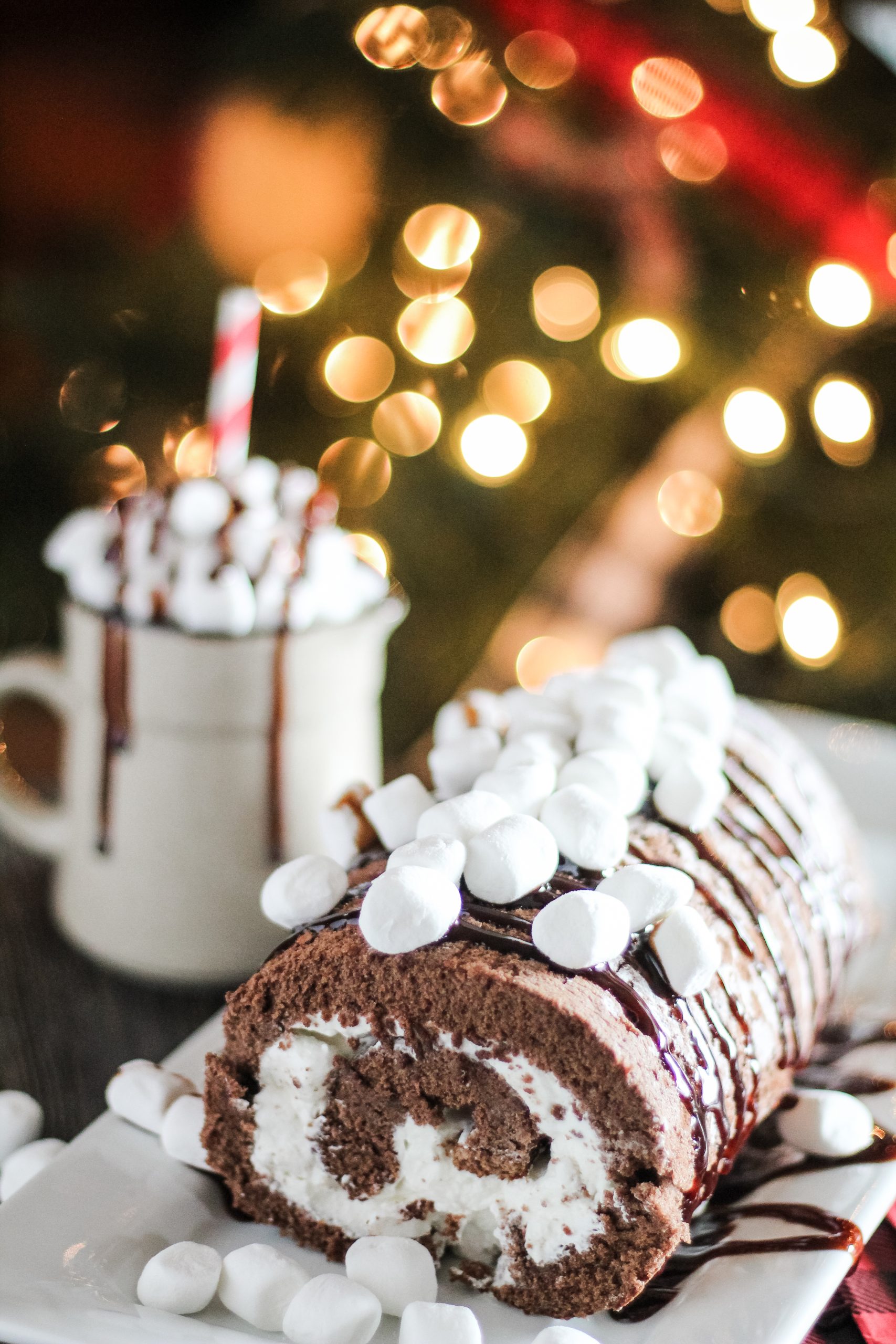 Hot Chocolate Cake Roll - 4 Sons 'R' Us