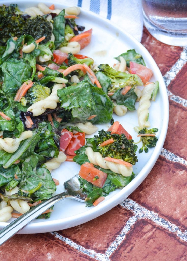 Balsamic Salad with Pasta - 4 Sons 'R' Us