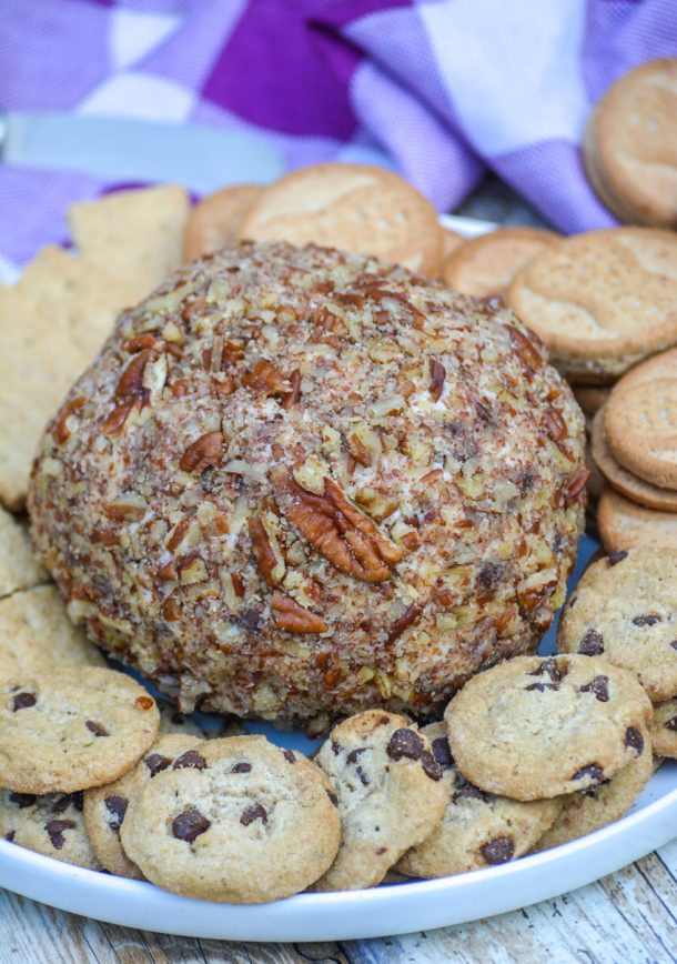 The Best Basic Dessert Cheese Ball - 4 Sons 'R' Us