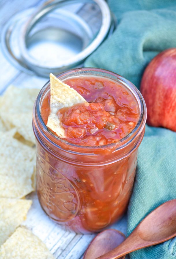 Homemade Apple Salsa - 4 Sons 'R' Us