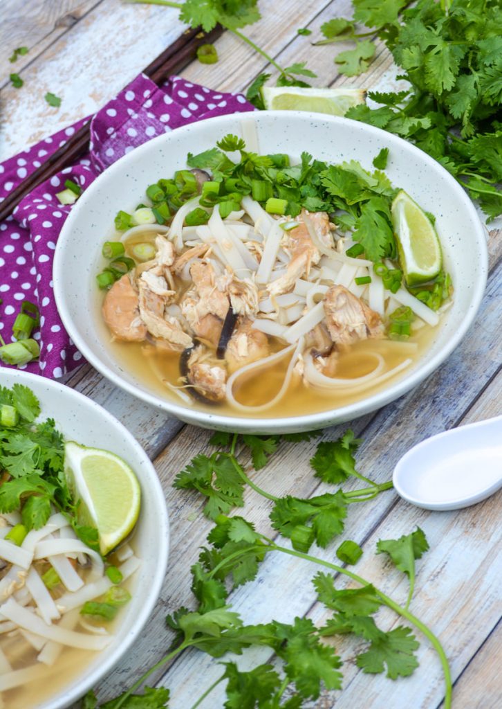 Easy Crockpot Chicken Pho - 4 Sons 'R' Us
